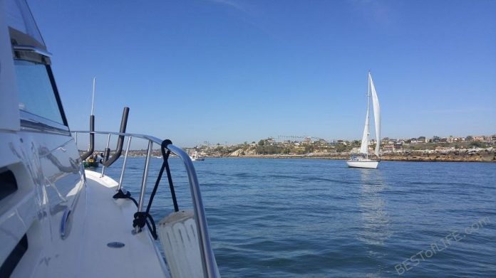 Best Beer to Drink while Boating - The Best of Life