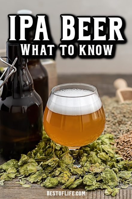 IPA Beer Knowledge - Best Things to Know - The Best of Life