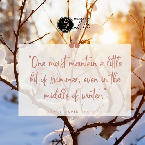 11 Happy Summer Fun Quotes to Add a Smile to Your Day