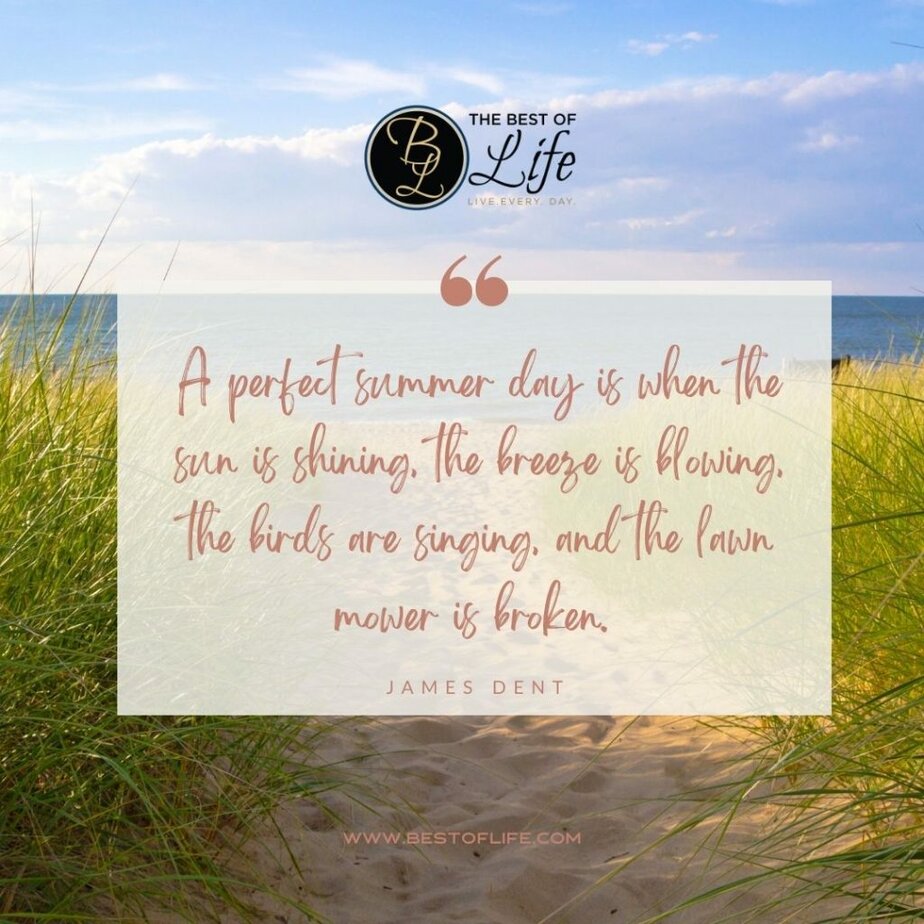 11 Happy Summer Fun Quotes to Add a Smile to Your Day