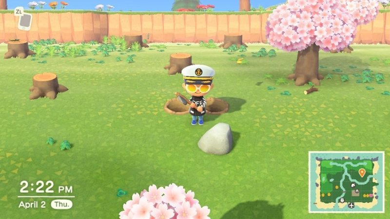 Animal Crossing New Horizons Tips and Tricks : The Best of Life