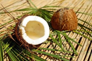 10 Grab and Go Quick Snacks for a Healthy Lifestyle