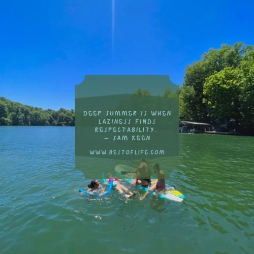 11 Happy Summer Fun Quotes to Add a Smile to Your Day