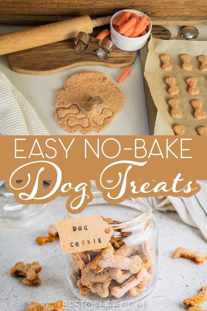 Easy No Bake Dog Treats for your Fur Baby - Best of Life