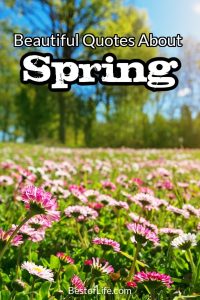Beautiful Spring Quotes for The Season of Revival - Best of Life