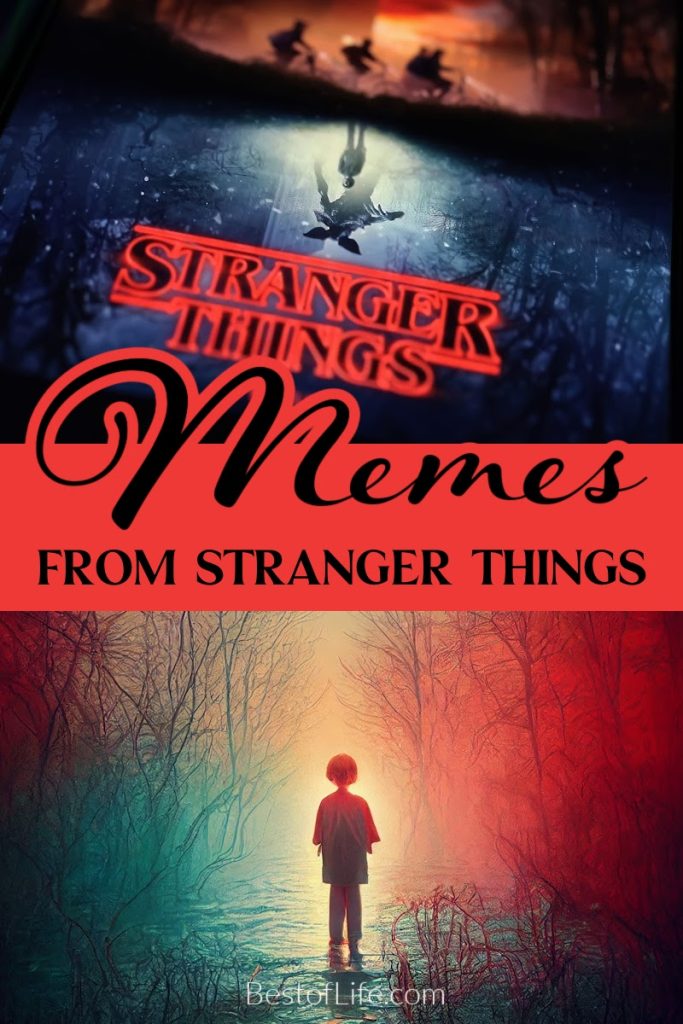 Funny Stranger Things Memes for your Day - The Best of Life
